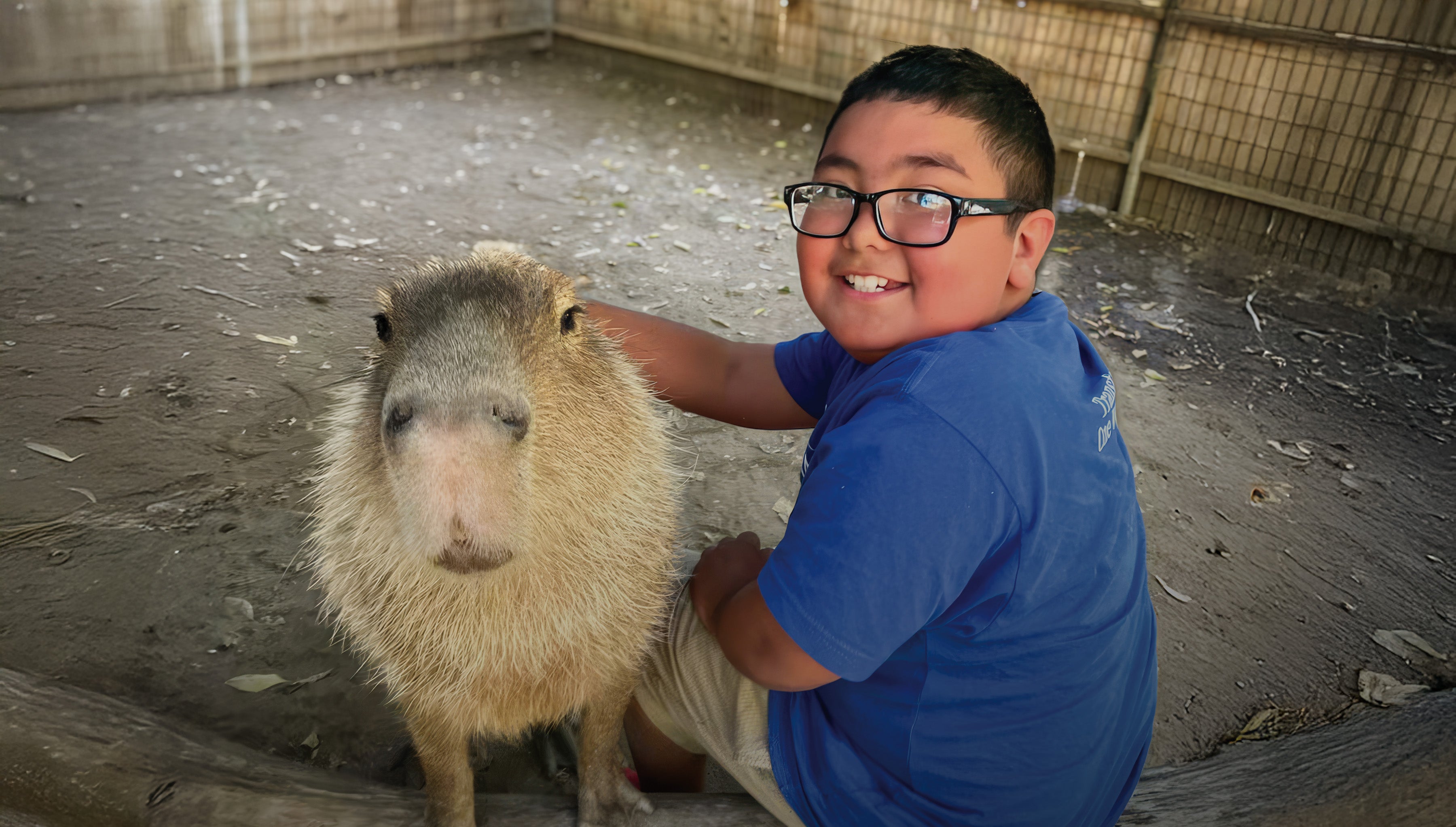 Titus' Wish to Meet a Capybara
